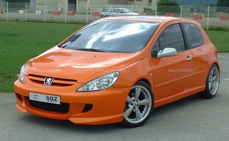 2002 Sbarro 307 Racing - AllCarIndex