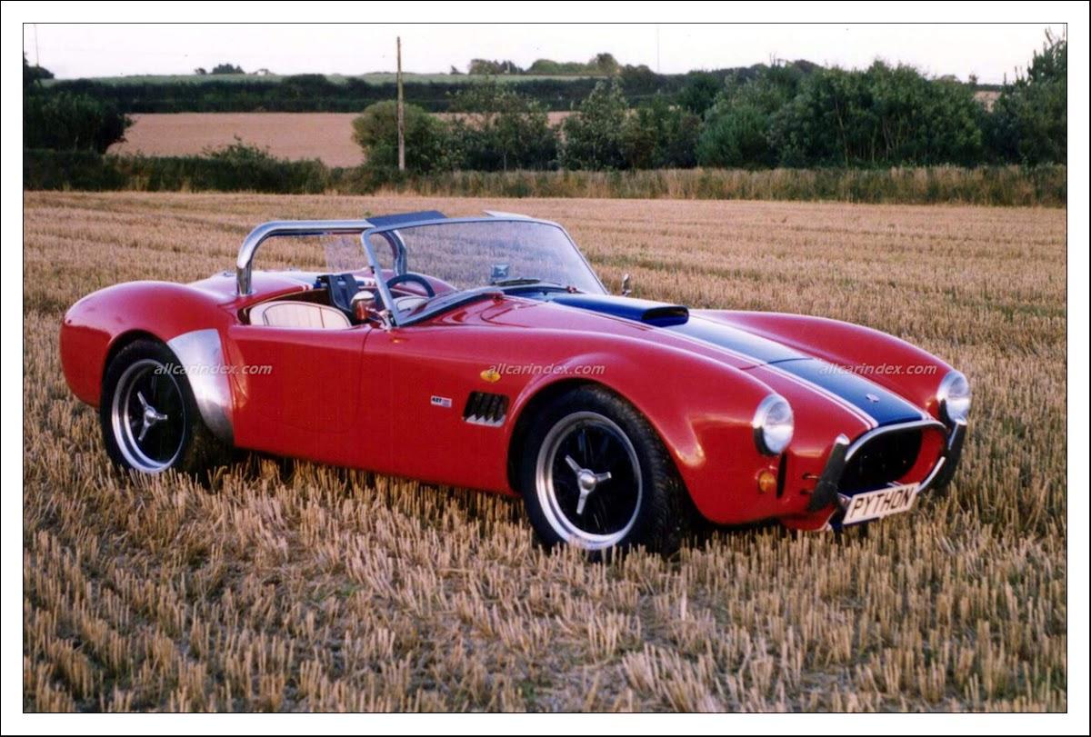 RV Dynamics Python - AllCarIndex